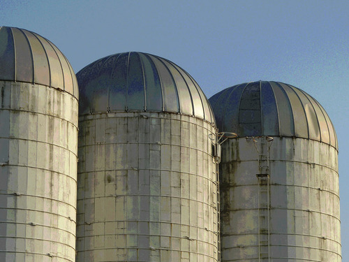 Friends of Kinder Farm Park