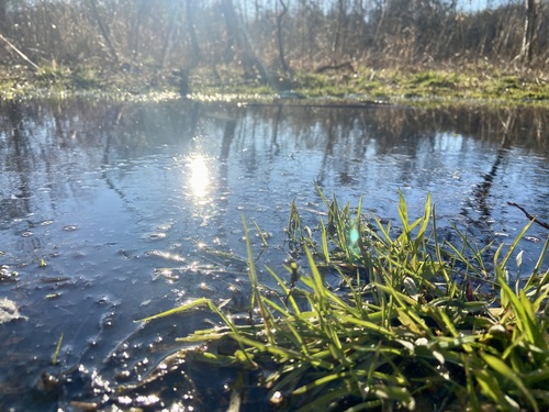 Friends of Kinder Farm Park