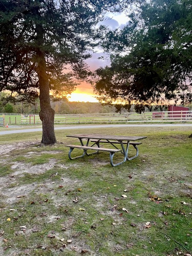 Friends of Kinder Farm Park