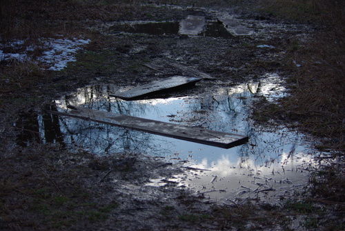 Friends of Kinder Farm Park
